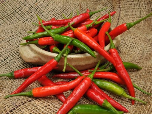 What makes Chilli hot? | Sakata