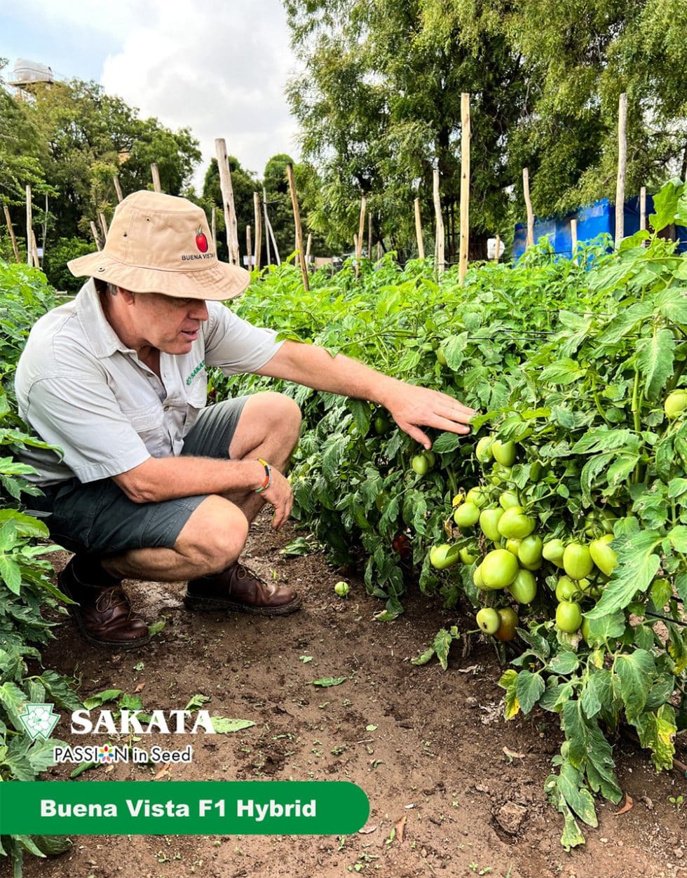 SAKATA AT FAIR PLANET ETHIOPIA OPEN DAY | Sakata
