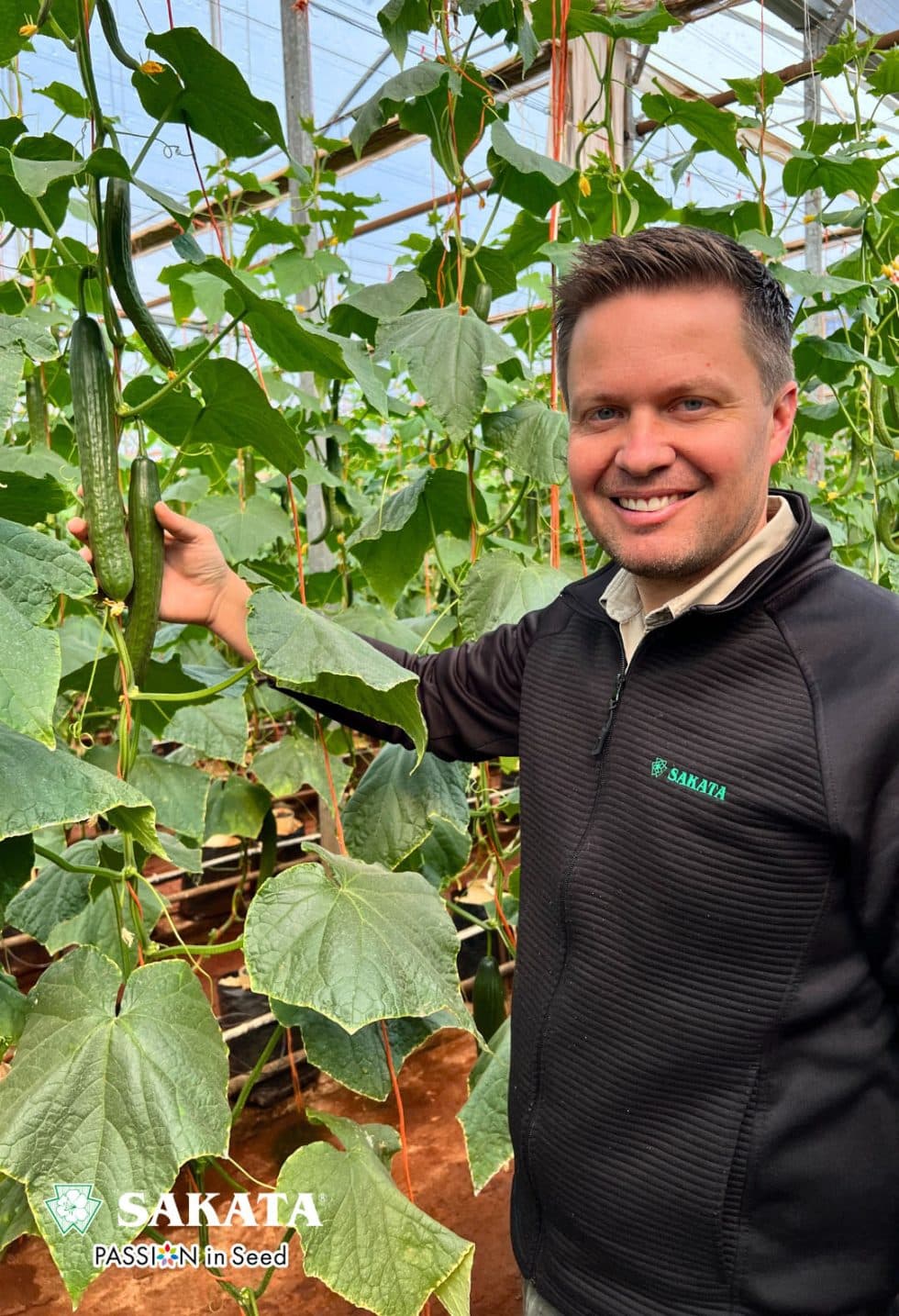 Invictus* Cucumber F1 Hybrid: Elevating Cucumber Production to New ...